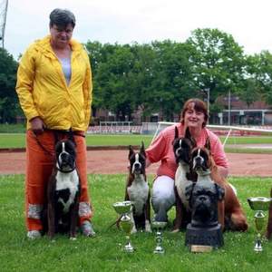 Nordom German Boxers Kennel | Boxer Puppies for sale